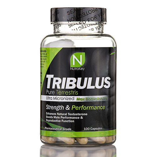 TRIBULUS